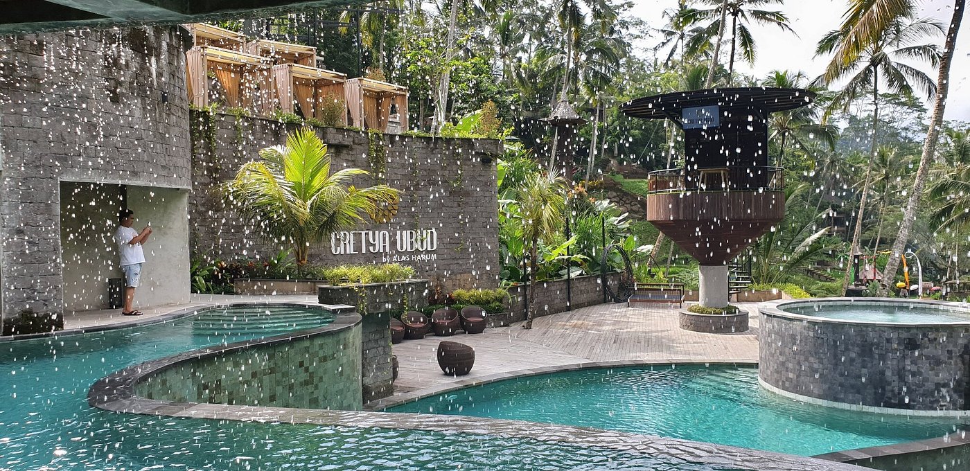 Cretya Pool Club Review: Is A Jungle Setting Better Than A Beach ...